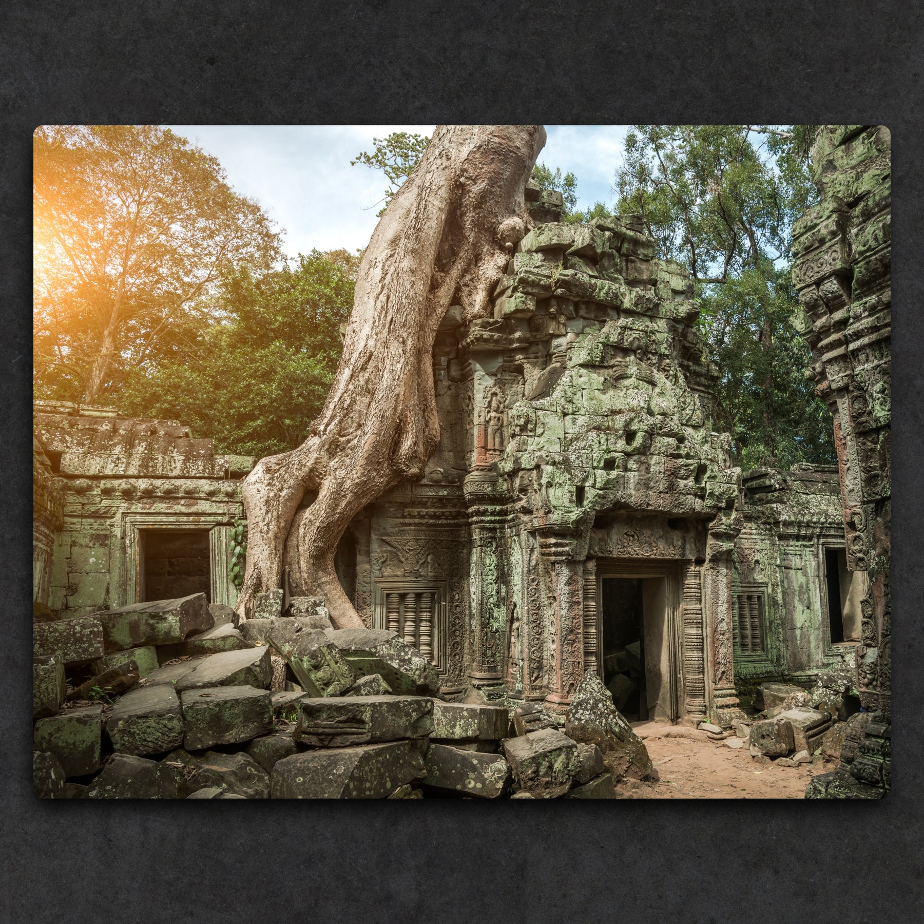 Products - Premium Metal Prints